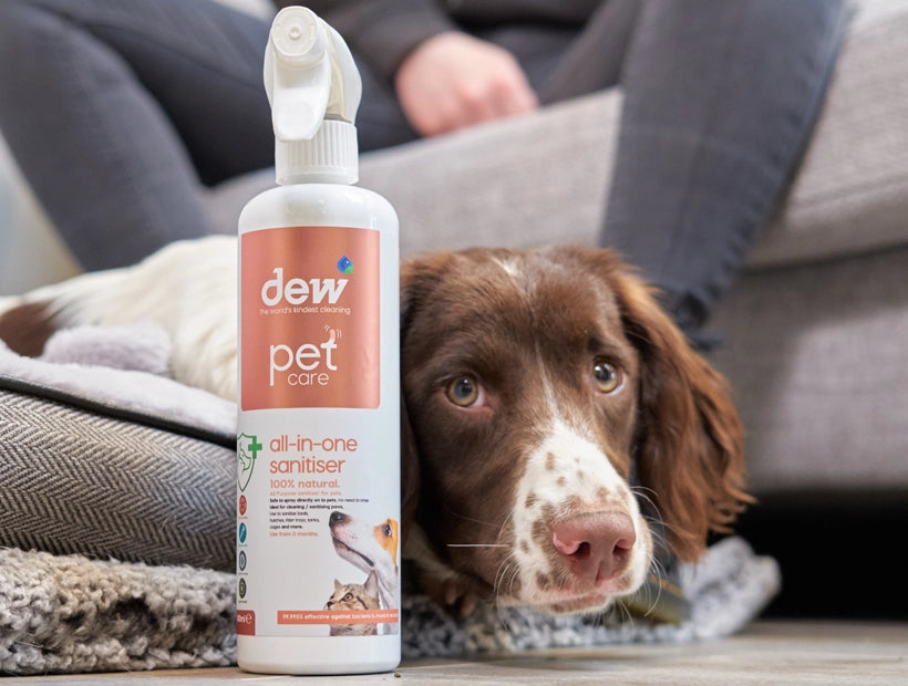 All-In-One Antibacterial: The Ultimate Solution For Pet Hygiene – Dew ...
